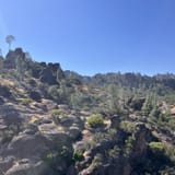 Moses Spring and Rim Trail Loop, California - 2,553 Reviews, Map ...