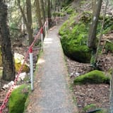 Flowerpot Island Loop Trail, Ontario, Canada - 593 Reviews, Map | AllTrails