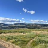Rowena Plateau Trail, Oregon - 845 Reviews, Map | AllTrails