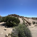 Skull Rock, California - 3,262 Reviews, Map | AllTrails