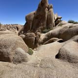 Skull Rock, California - 3,262 Reviews, Map | AllTrails
