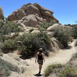 Skull Rock, California - 3,262 Reviews, Map | AllTrails