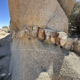 Skull Rock, California - 3,262 Reviews, Map | AllTrails