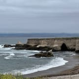 Point Buchon Trail, California - 608 Reviews, Map | AllTrails