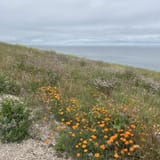 Point Buchon Trail, California - 608 Reviews, Map | AllTrails