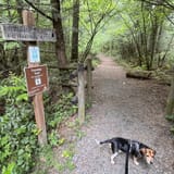 Tradition Lake Loop Trail, Washington - 1,643 Reviews, Map | AllTrails