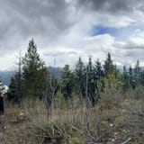 Apgar Lookout, Montana - 1,735 Reviews, Map | AllTrails