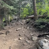 Adams Canyon Trail, Utah - 7,120 Reviews, Map | AllTrails