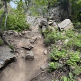 Adams Canyon Trail, Utah - 7,120 Reviews, Map | AllTrails