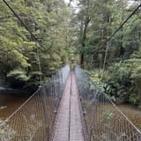 Rainbow Reach to Shallow Bay via Kepler Track, Southland, New Zealand ...