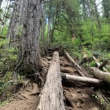 Abiqua Falls from Crooked Finger OHV Area, Oregon - 368 Reviews, Map ...