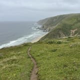 Tomales Point Trail, California - 6,564 Reviews, Map | AllTrails