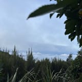 Swampy Summit, Burns Creek, and Leith Saddle Loop, Otago, New Zealand ...