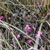 Swampy Summit, Burns Creek, and Leith Saddle Loop, Otago, New Zealand ...
