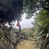 Swampy Summit, Burns Creek, and Leith Saddle Loop, Otago, New Zealand ...