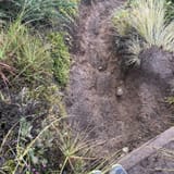 Swampy Summit, Burns Creek, and Leith Saddle Loop, Otago, New Zealand ...