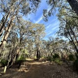 Perth Hills Discovery Centre to Golden View Lookout, Western Australia ...