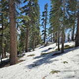 Kaiser Peak, California - 587 Reviews, Map | AllTrails