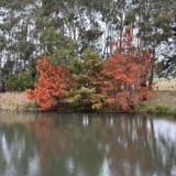 Campaspe River Walk, Victoria, Australia - 325 Reviews, Map | AllTrails