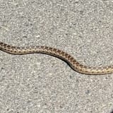 Upper Table Rock Trail, Oregon - 1,775 Reviews, Map | AllTrails