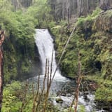 Eagle Creek Trail, Oregon - 860 Reviews, Map | AllTrails
