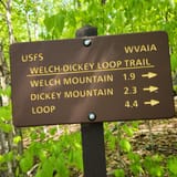 Welch-Dickey Loop Trail, New Hampshire - 7,098 Reviews, Map | AllTrails
