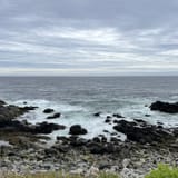 Parson's Way, Maine - 348 Reviews, Map | AllTrails