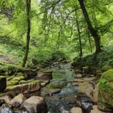 Askrigg Three Waterfalls Circular, North Yorkshire, England - 5 Reviews ...