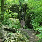 Hickory Ridge Outer Trail, Tennessee - 374 Reviews, Map | AllTrails