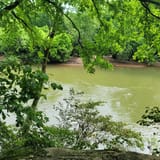 Hickory Ridge Outer Trail, Tennessee - 373 Reviews, Map | AllTrails