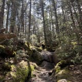 Great Range Loop Trail, New York - 369 Reviews, Map | AllTrails
