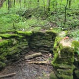 Hickory Ridge Outer Trail, Tennessee - 374 Reviews, Map | AllTrails