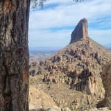 Lone Tree via Peralta Canyon Trail, Arizona - 1,944 Reviews, Map ...