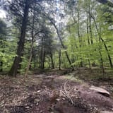 Indian Head Mountain Loop, New York - 1,296 Reviews, Map | AllTrails