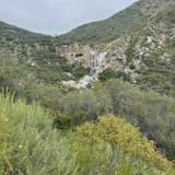 Tenaja Falls, California - 739 Reviews, Map | AllTrails