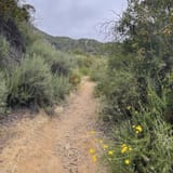 Tenaja Falls, California - 739 Reviews, Map | AllTrails