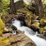 Lindeman Lake Trail, British Columbia, Canada - 2,019 Reviews, Map ...
