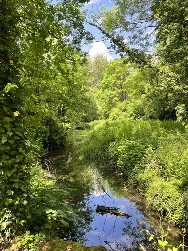 Best River Trails in Epsom | AllTrails