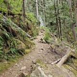 Murhut Falls Trail, Washington - 963 Reviews, Map | AllTrails