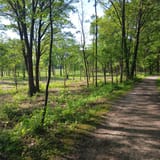 Palos Orange Trail, Illinois - 1,466 Reviews, Map | AllTrails
