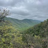 Signal Knob Loop Trail, Virginia - 1,066 Reviews, Map | AllTrails