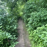 Turkey Run Potomac Heritage Trail, Virginia - 1,389 Reviews, Map ...