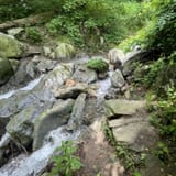 Turkey Run Potomac Heritage Trail, Virginia - 1,389 Reviews, Map ...