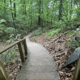 Turkey Run Potomac Heritage Trail, Virginia - 1,389 Reviews, Map ...