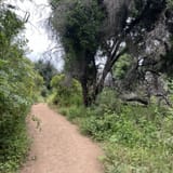 Escondido Falls Trail, California - 6,481 Reviews, Map | AllTrails