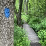 Lindsay-Parsons Biodiversity Preserve Trails, New York - 122 Reviews ...