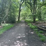 Epping Forest Main Path and Green Ride Circular, Essex, England - 1,242 ...