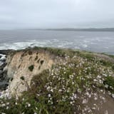 Tomales Point Trail, California - 6,564 Reviews, Map | AllTrails