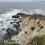 Tomales Point Trail, California - 6,564 Reviews, Map | AllTrails