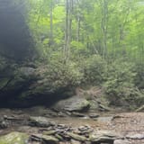 Kelly's Run Loop Trail, Pennsylvania - 3,458 Reviews, Map | AllTrails